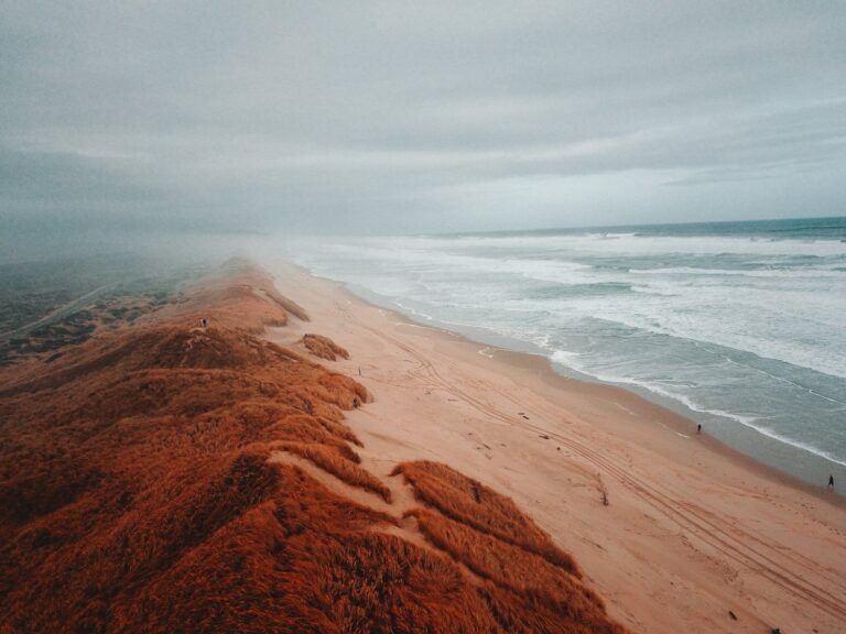 Светско море и његова хоризонтална подела- океани и мора - Provere znanja