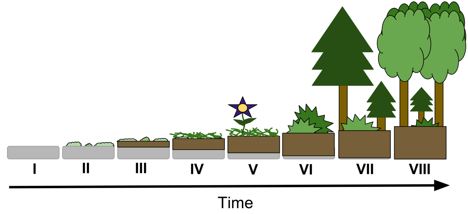 Evolucija i razvoj ekosistema - test (8.r.) - Provere znanja